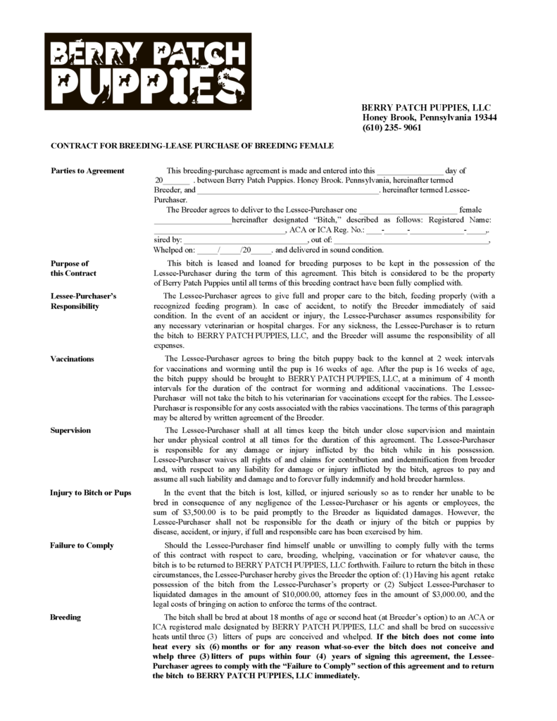 Guardianship Program | Berry Patch Puppies