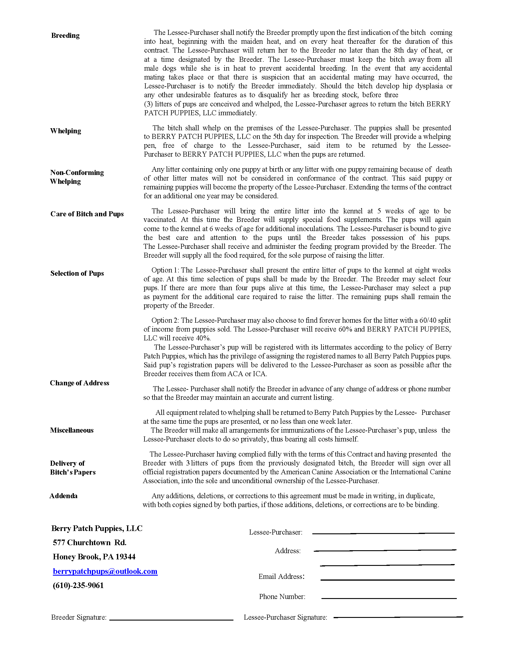 Guardianship Program | Berry Patch Puppies